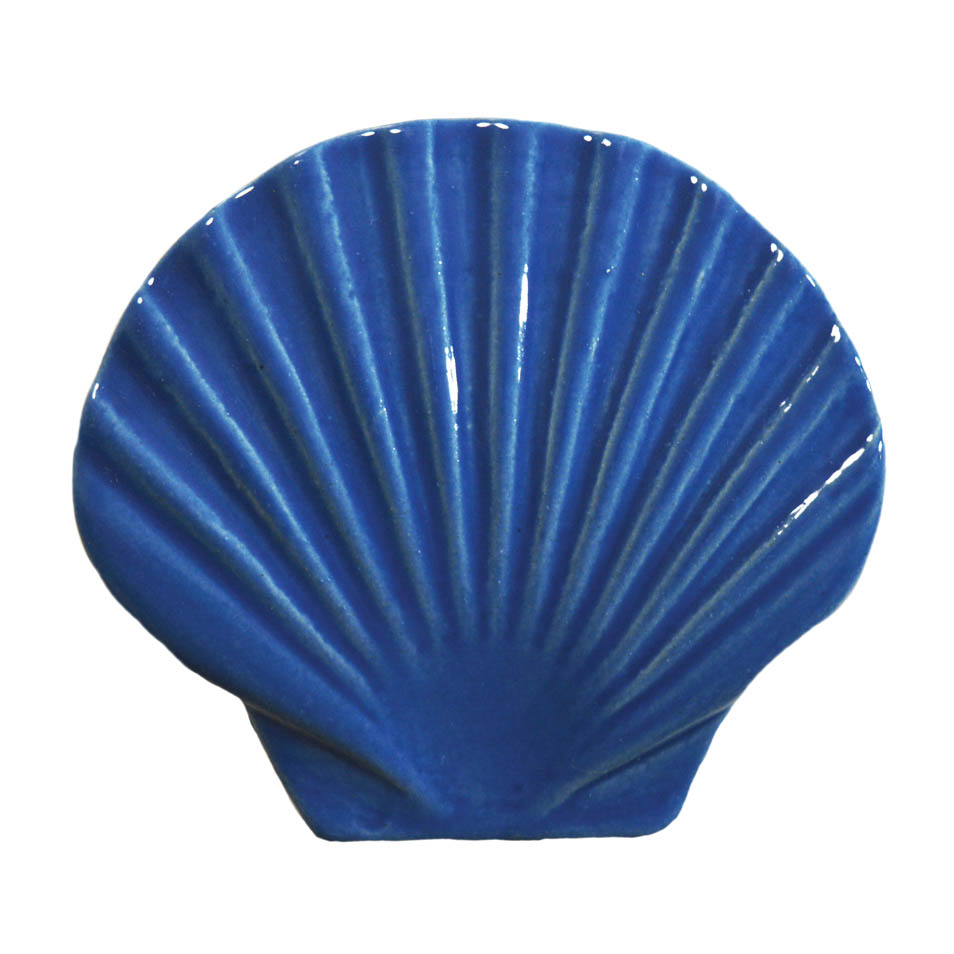SEASHELL LIGHT BLUE (SSHLBLB) 5" - POOLS & SURFACES DISTRIBUTOR