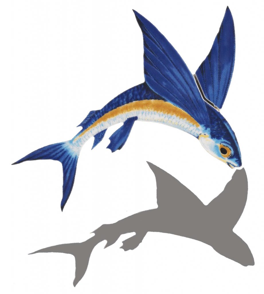 Flying Fish-A (with shadow) 7"x8" by Custom Mosaics - POOLS & SURFACES ...
