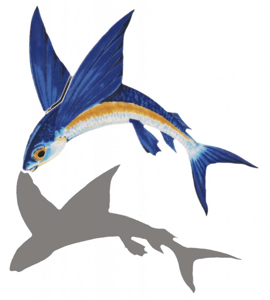 Flying Fish-A Reverse (with shadow) 7"x8"by Custom Mosaics - POOLS ...