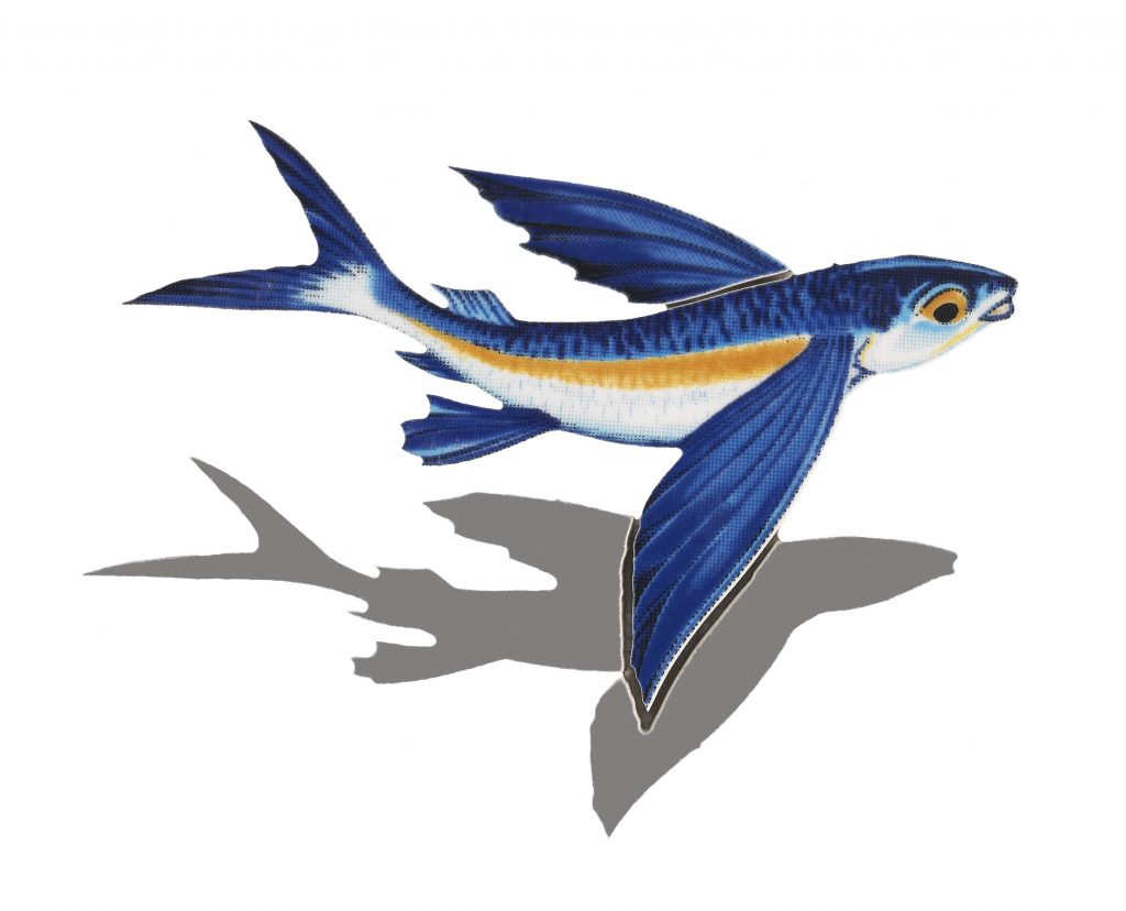 Flying Fish-B (with shadow) 8"x6" by Custom Mosaics - POOLS & SURFACES ...