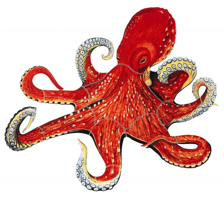 OCTOPUS MOSAIC BY CUSTOM MOSAICS - POOLS & SURFACES DISTRIBUTOR