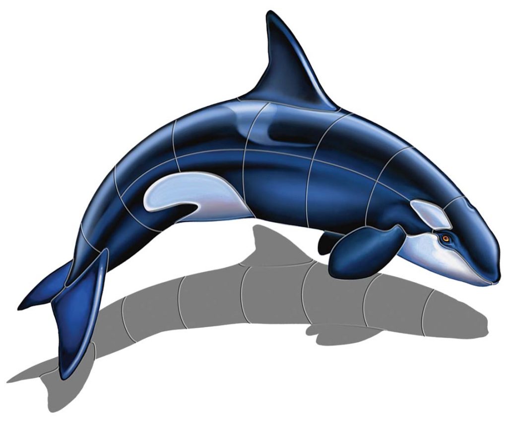 Orca - A (with shadow) 37"x28" by Custom Mosaics - POOLS & SURFACES ...